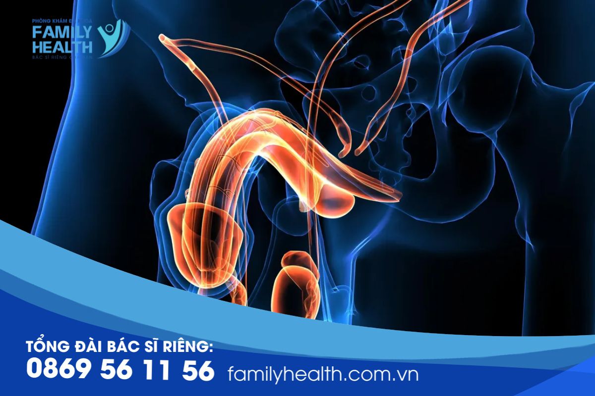 Dấu hiệu ung thư dương vật: Nhận biết sớm để điều trị